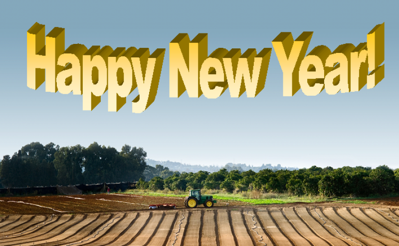 Happy New Year! | Field Farm Tours