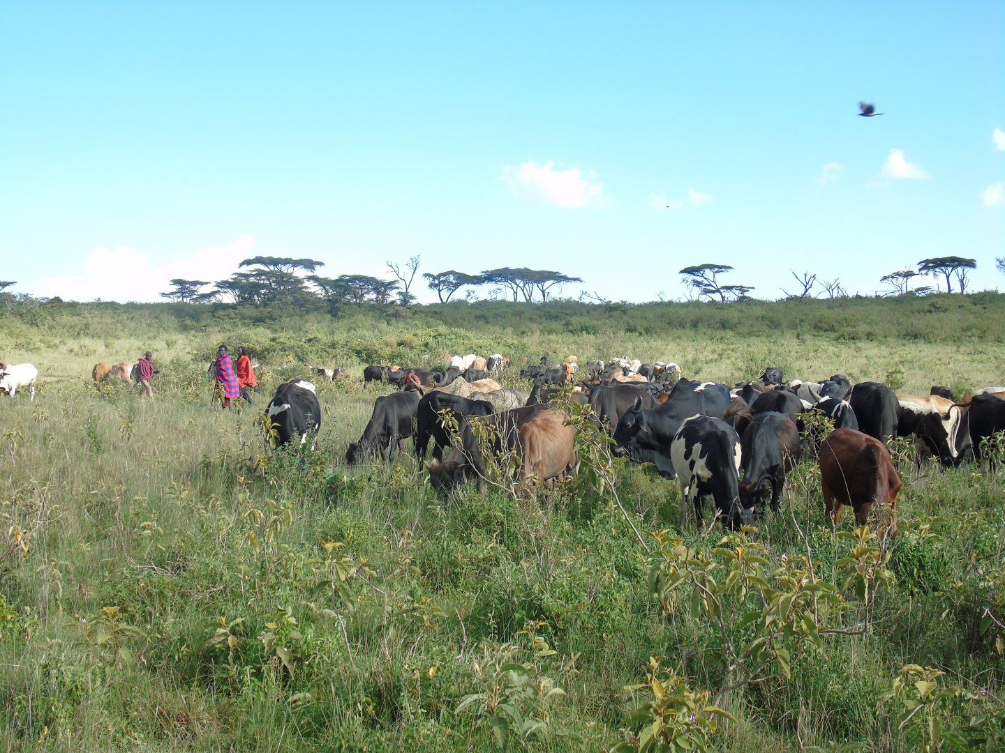 New Tour to Tanzania | Field Farm Tours