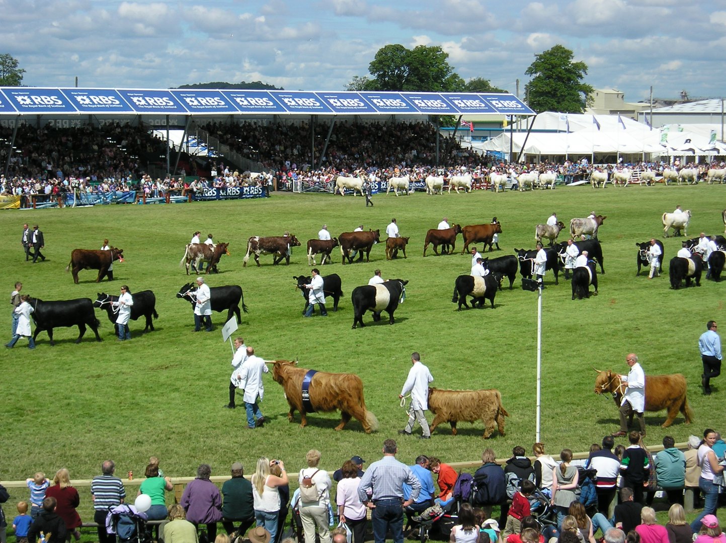 Event booking terms - Covid 19 | Field Farm Tours